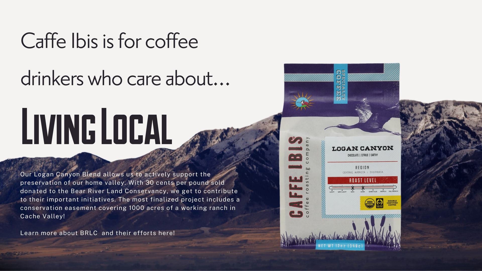 Cause Coffee Campaign Landing Page – Caffe Ibis Coffee Roasters