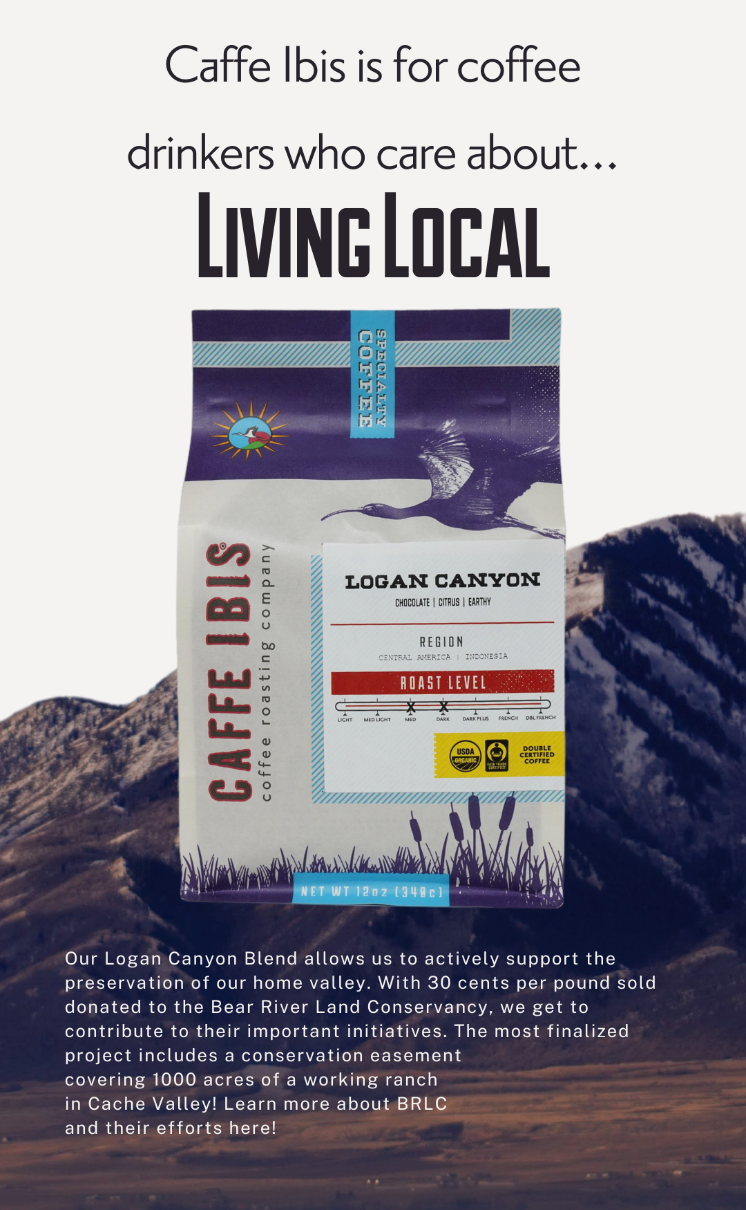 Cause Coffee Campaign Landing Page – Caffe Ibis Coffee Roasters