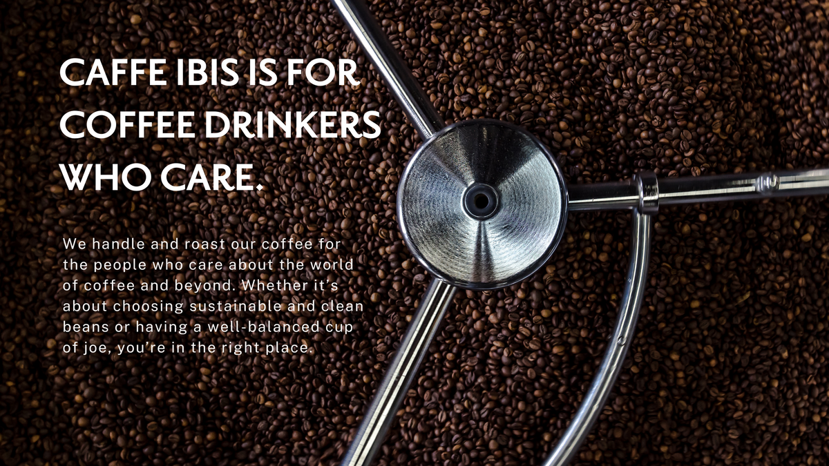 Caffe Ibis Coffee Roasters